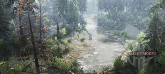 Riacho Evans para Spin Tires